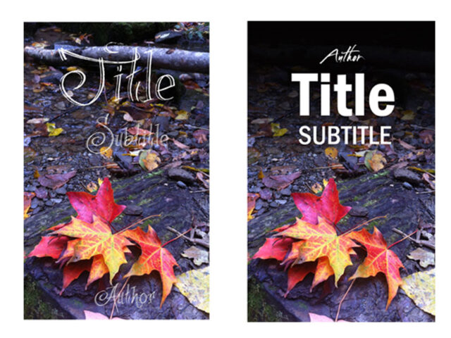 Design Like A Pro - 10 Mistakes to Avoid When Creating a Book Cover ...